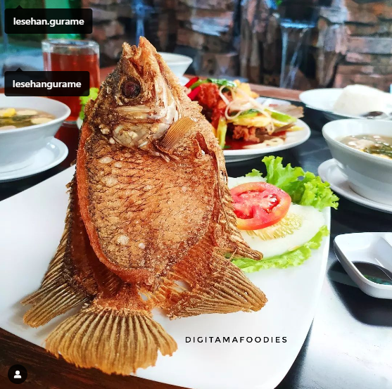 Lesehan Gurame, Tempat Makan Seafood Segar Enak di Jakarta - Mitra Niaga